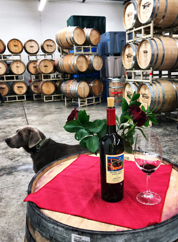 Wine Tasting in Livermore Valley California - Sydne Style