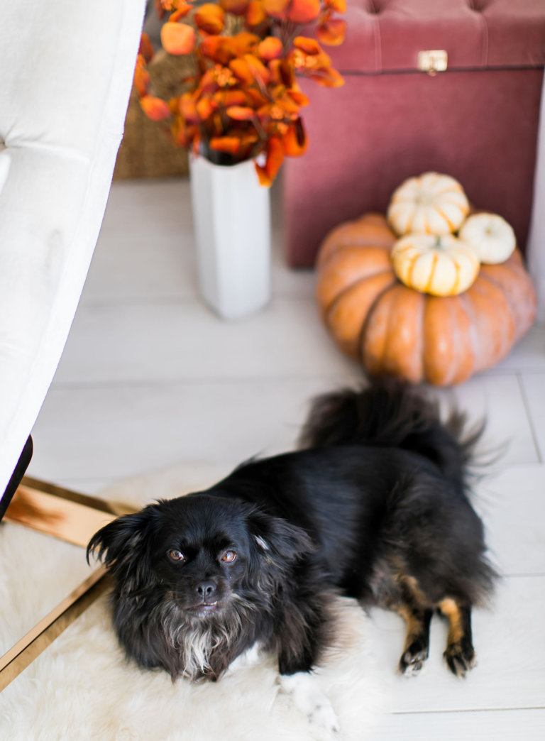 Fall Decor Ideas: Bringing Color Into My Home - Sydne Style