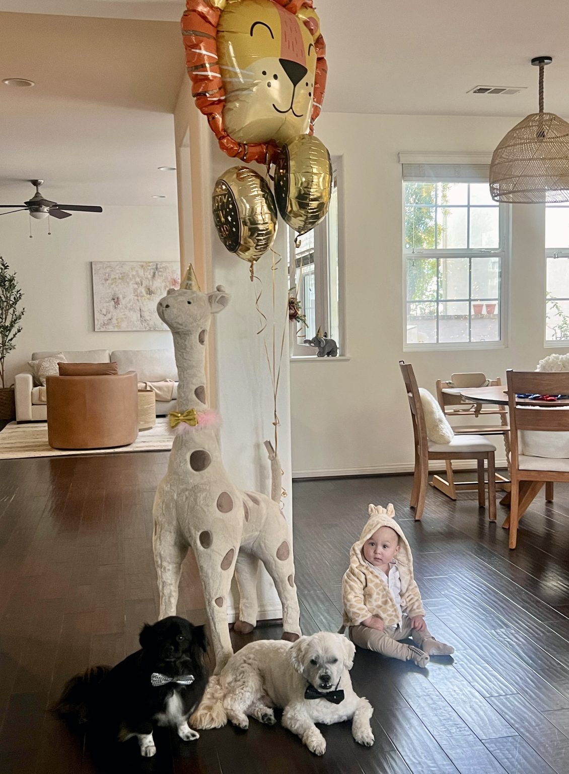 How I Threw a Last Minute Party Animals Party - Sydne Style