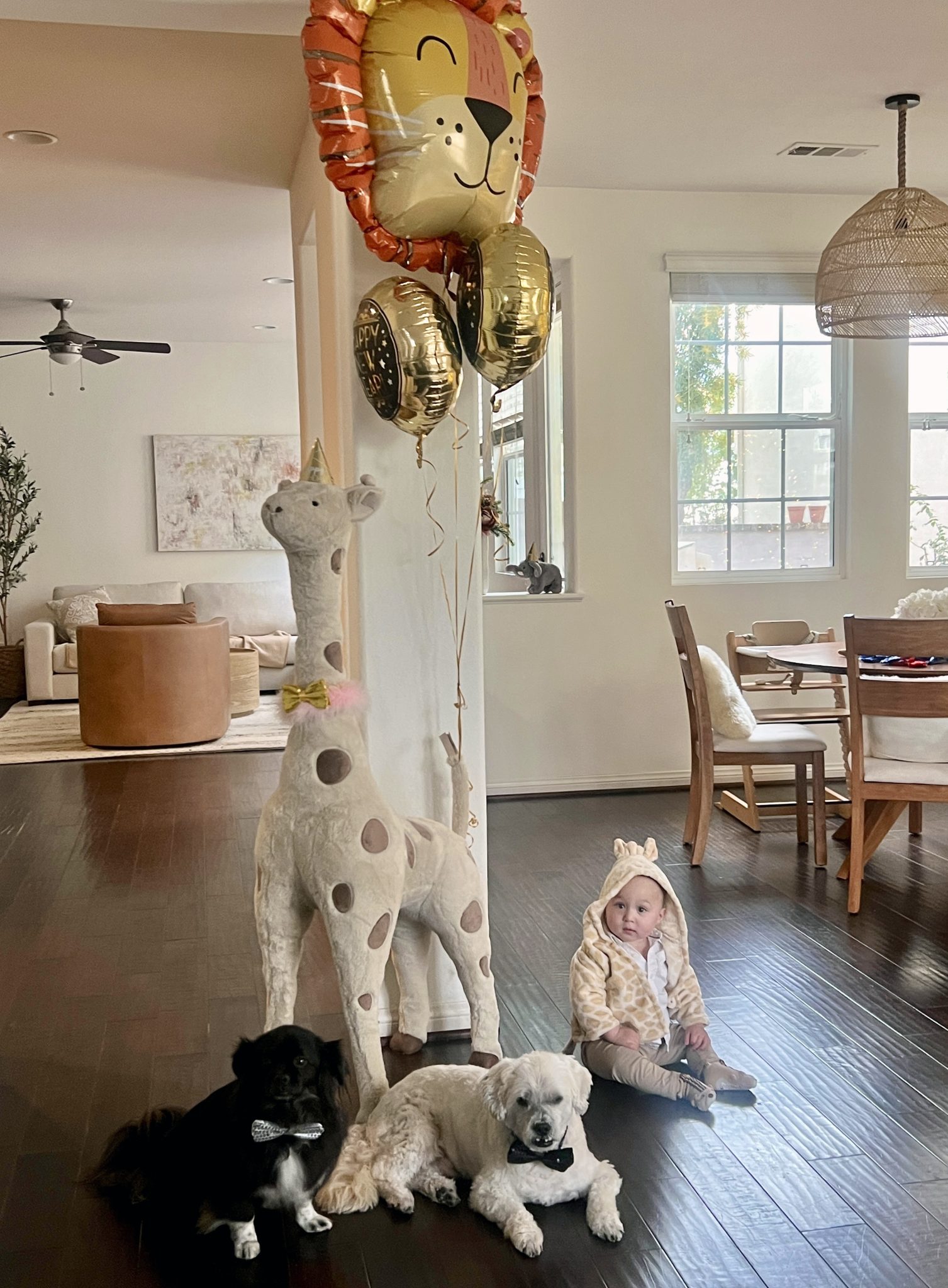 How I Threw a Last Minute Party Animals Party - Sydne Style